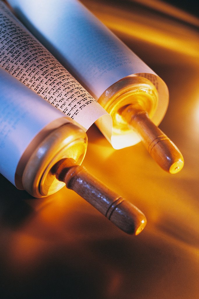 40 Day References in Torah